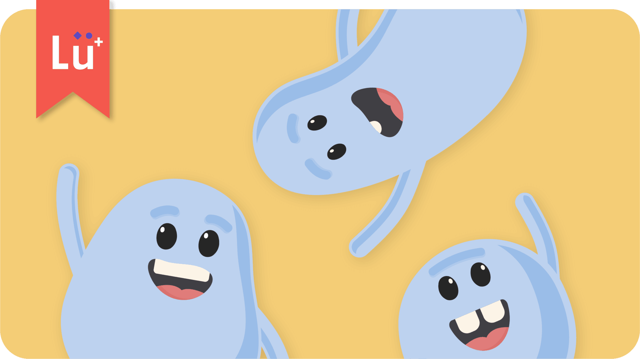 Educational applications | Lü Interactive Playground